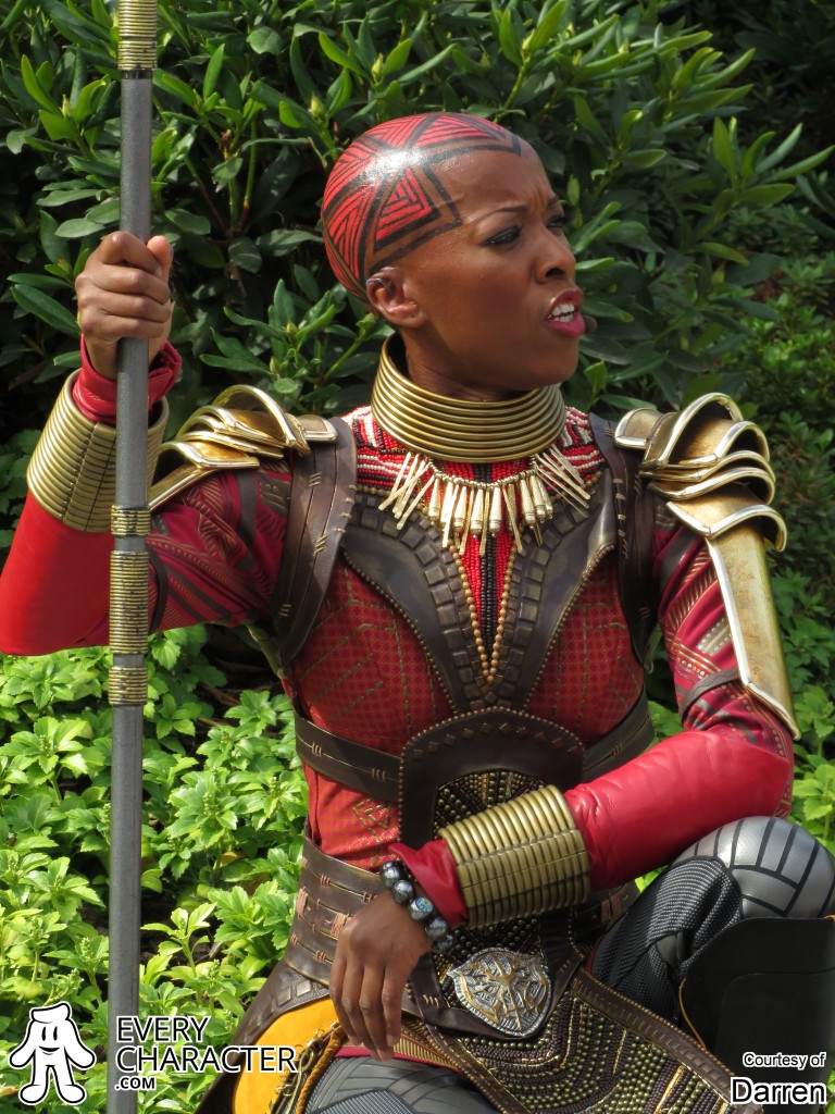 DLP - Warriors of Wakanda on EveryCharacter.com