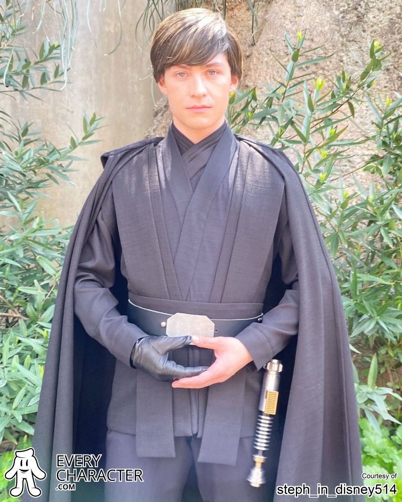 DLR - Galaxy's Edge - Encounter with Luke Skywalker on EveryCharacter.com